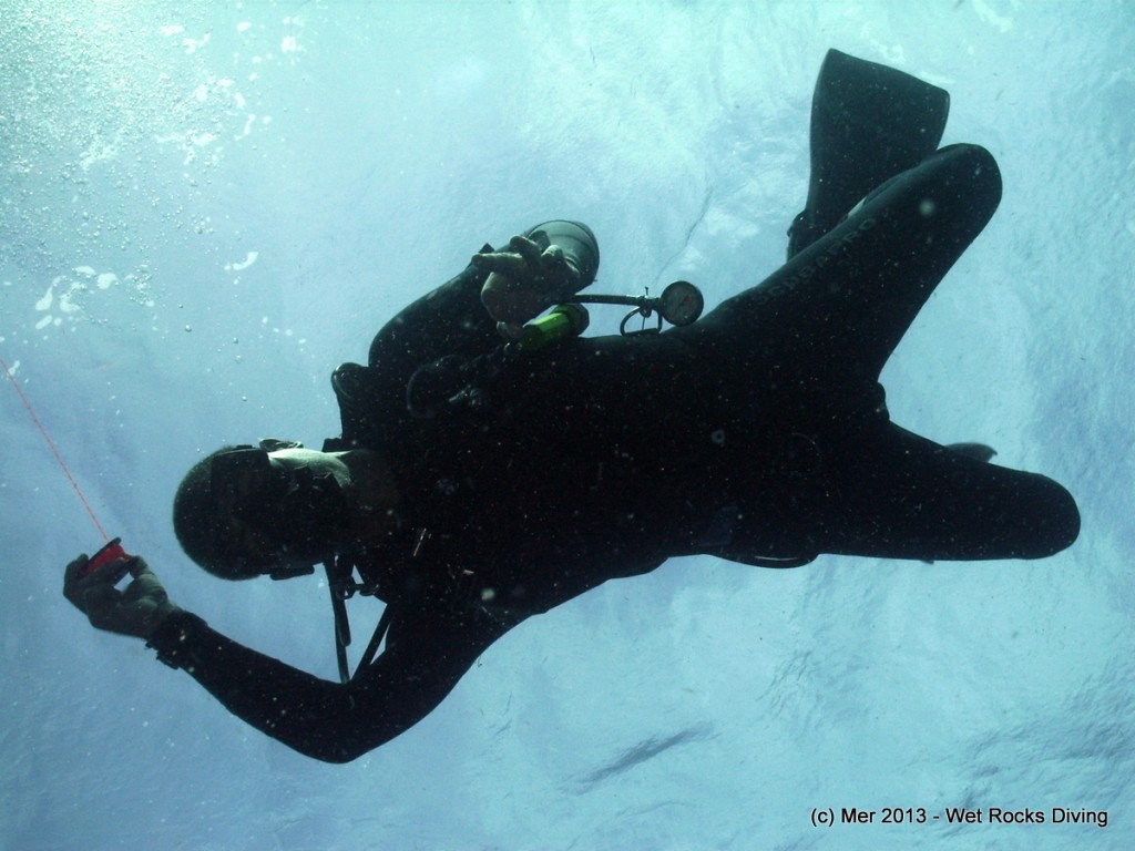 Rec 1 – Learn to Dive | Wet Rocks Diving