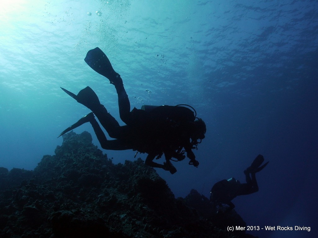 Rec 1 – Learn to Dive | Wet Rocks Diving