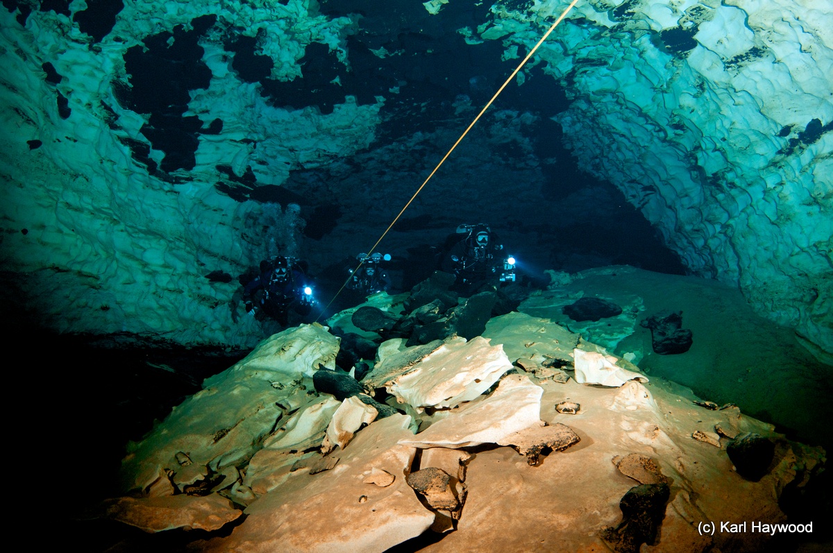 Mer’s Favorite Dives | Wet Rocks Diving