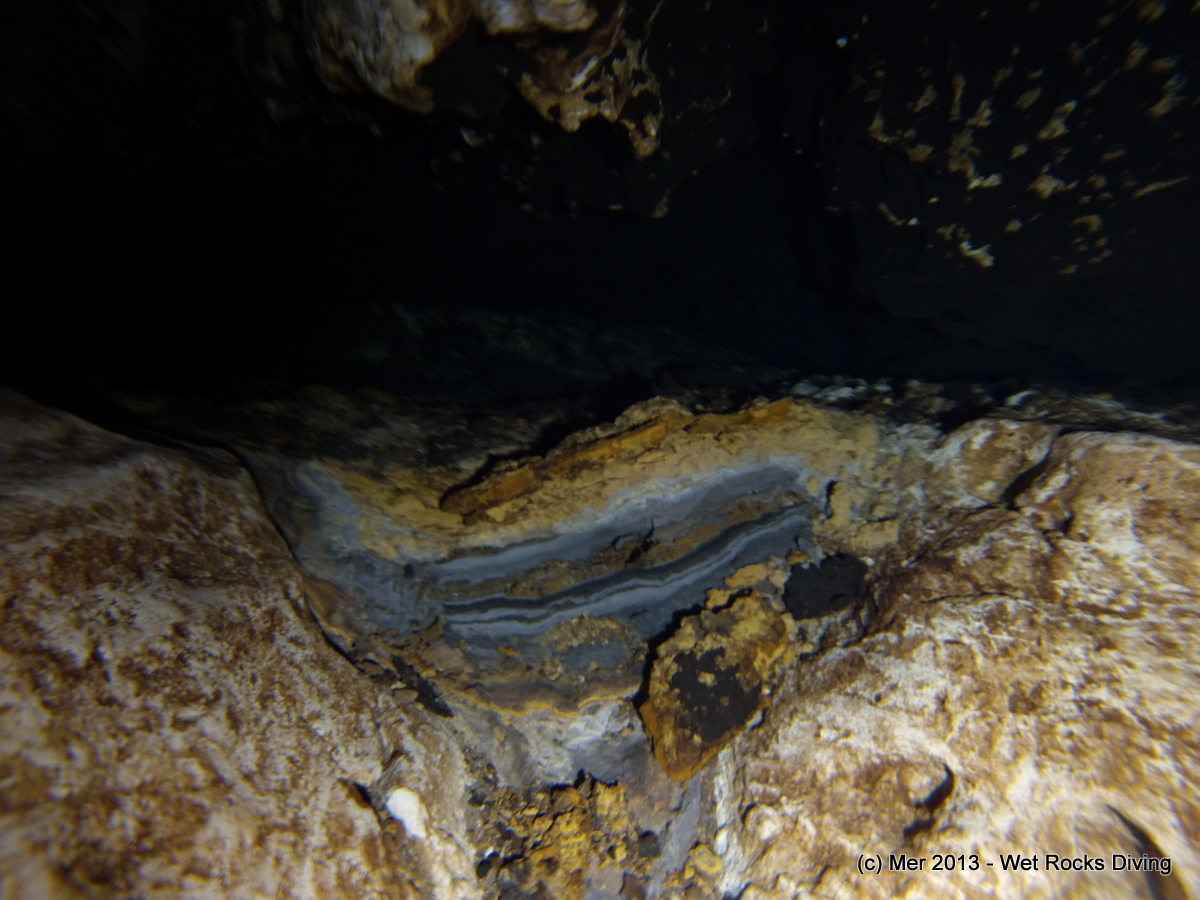 N. Florida: Caves, Springs | Wet Rocks Diving