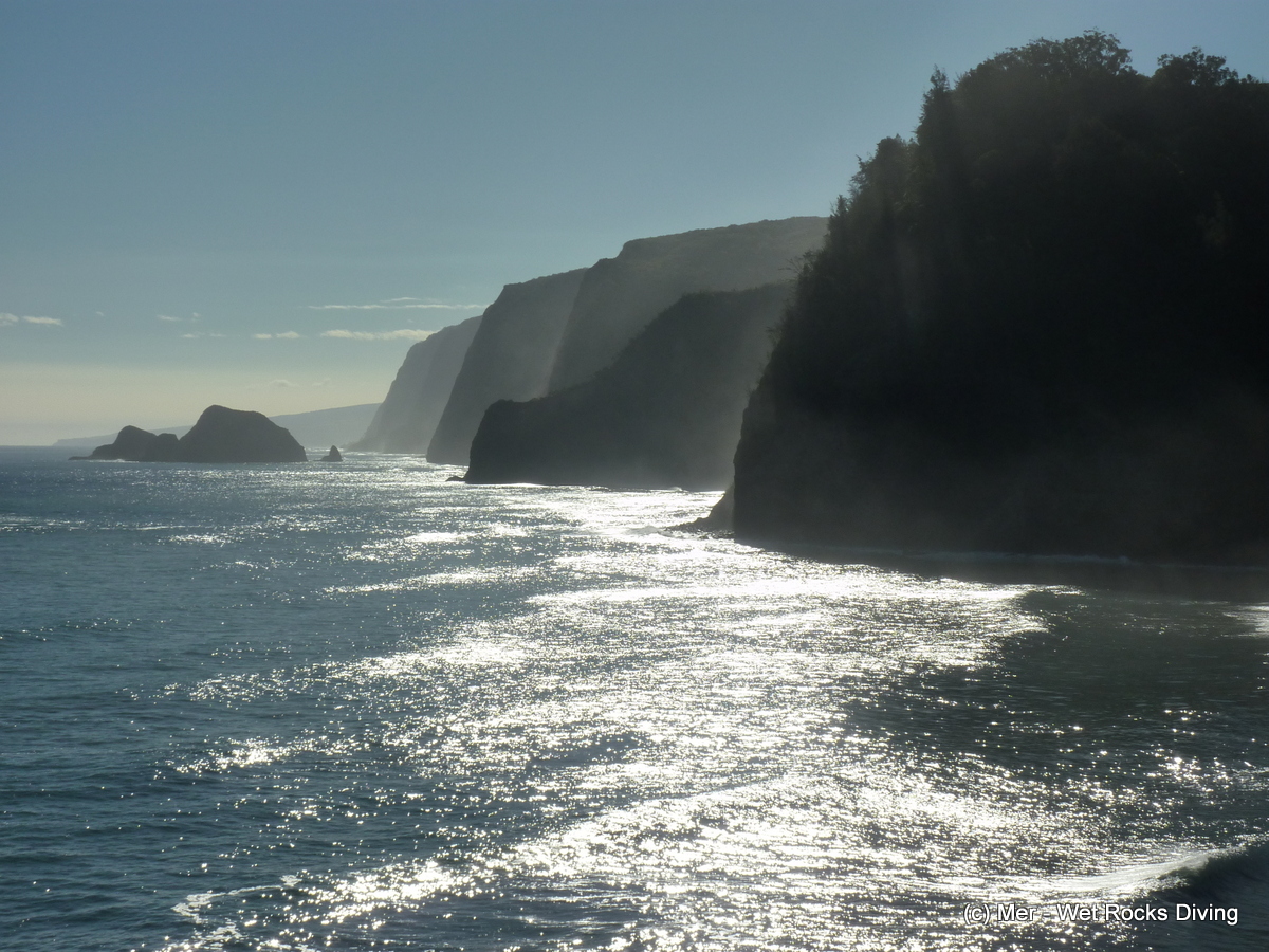 Kona, Hawaii | Wet Rocks Diving