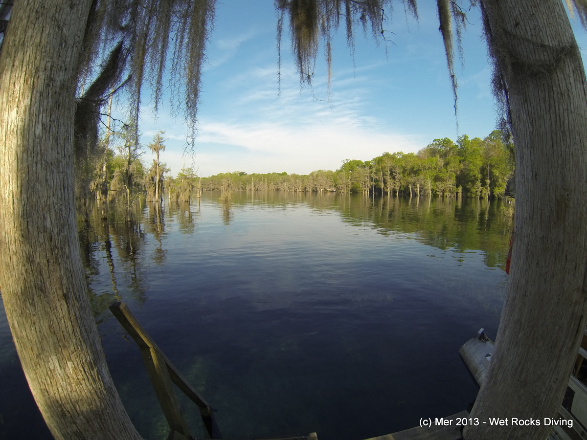 N. Florida: Caves, Springs | Wet Rocks Diving