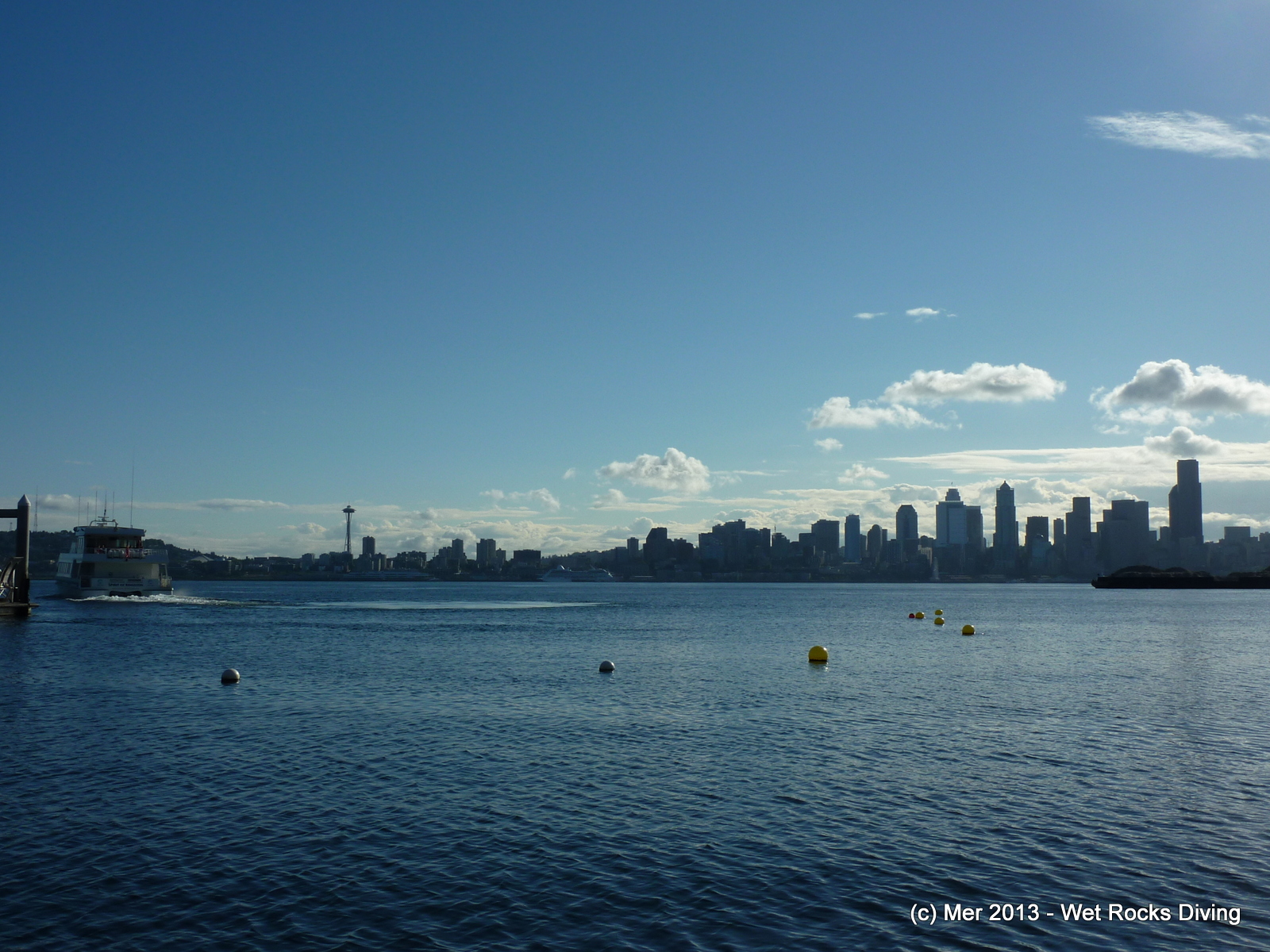 Cove 2 – Seattle | Wet Rocks Diving