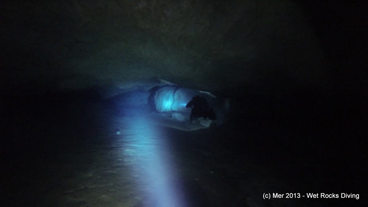 Jackson Blue | Wet Rocks Diving