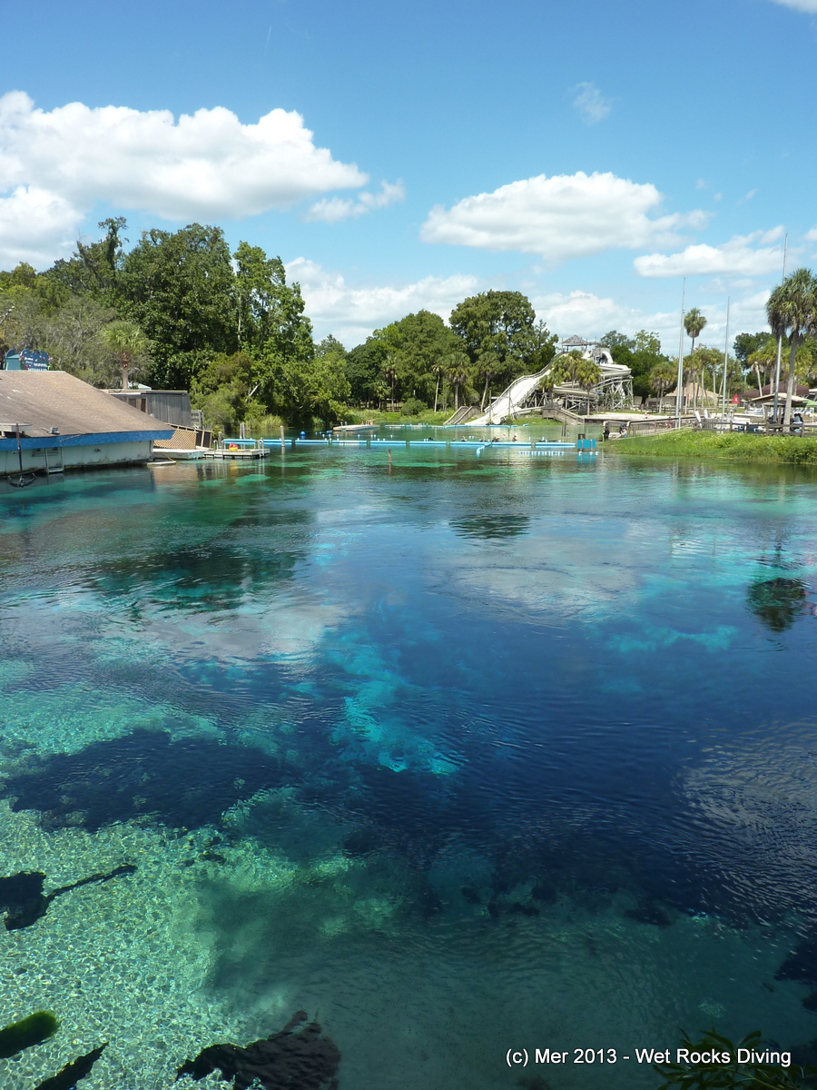 Weeki Wachee Wounded Warrior Weekend | Wet Rocks Diving