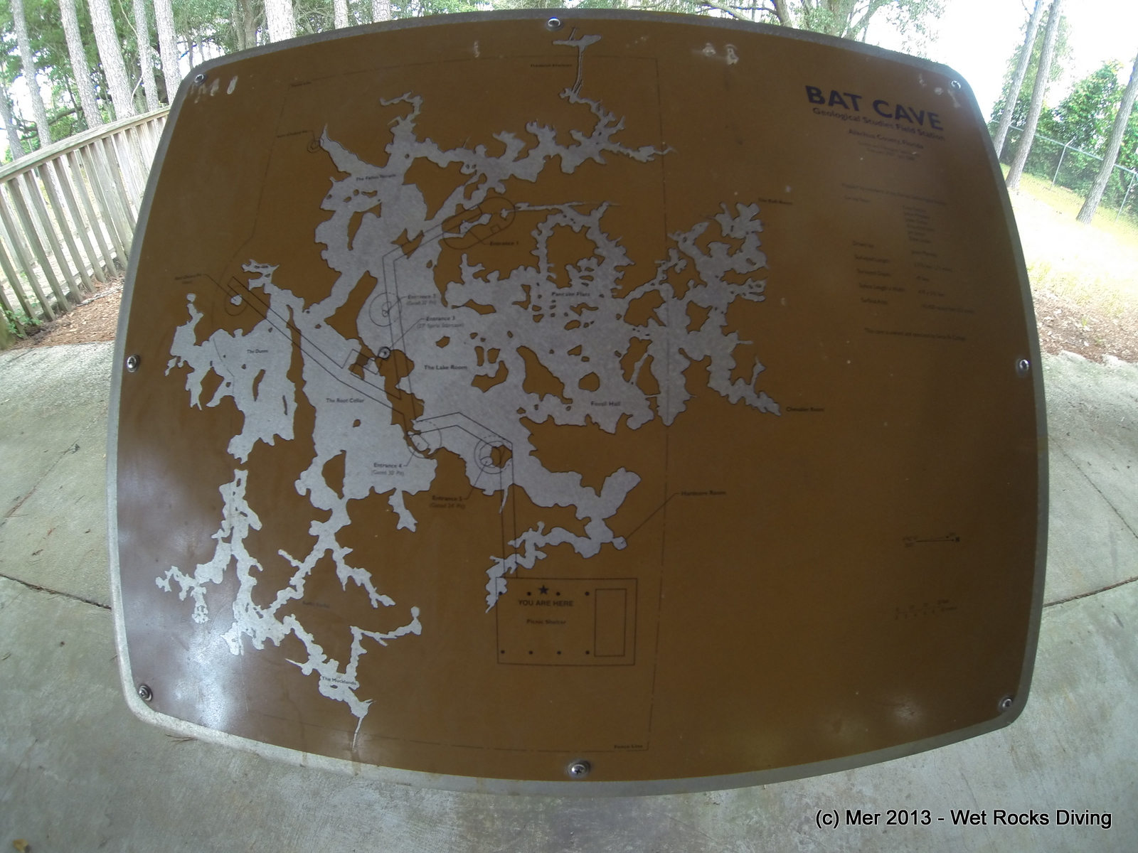 Survey Practice | Wet Rocks Diving