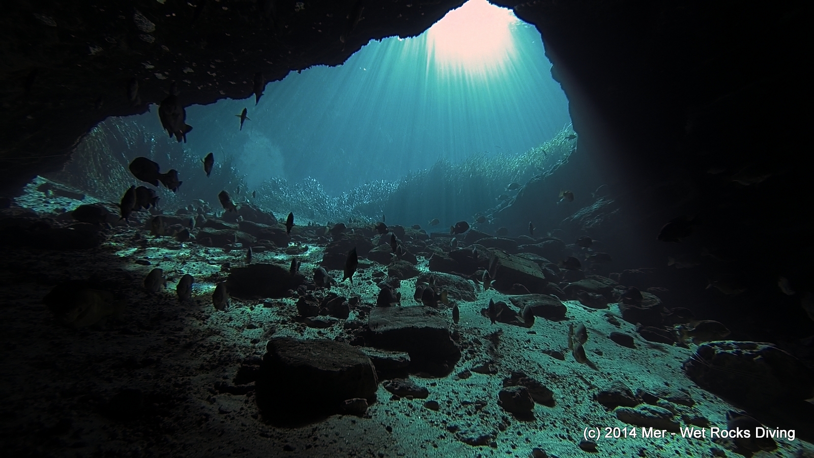 Cave 1 | Wet Rocks Diving