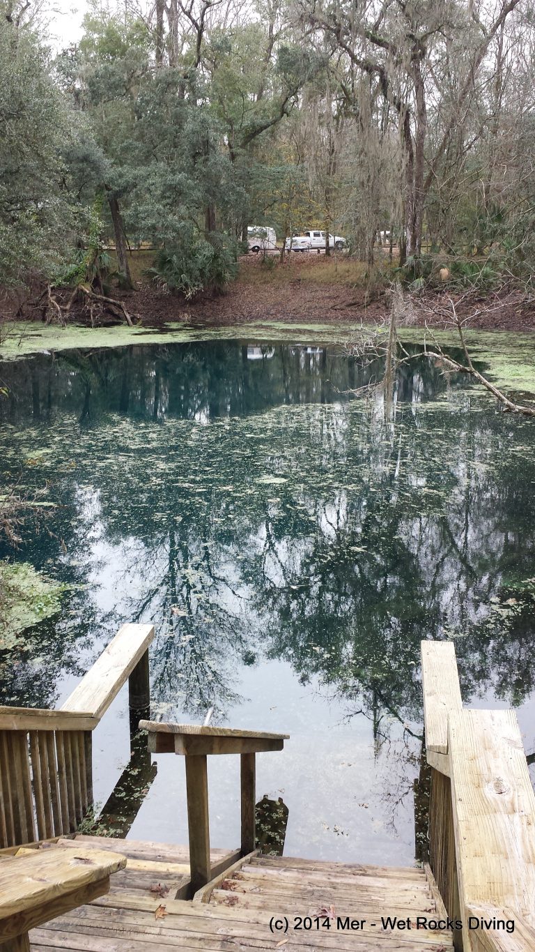 Open Water Dive Sites in North Florida | Wet Rocks Diving